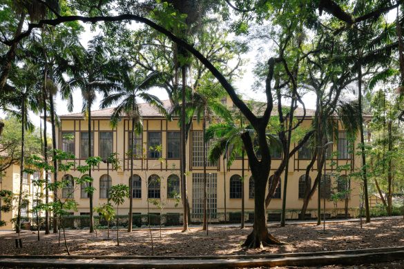 Tipos de Fundação: 6 Exemplos Que Você Precisa Conhecer!