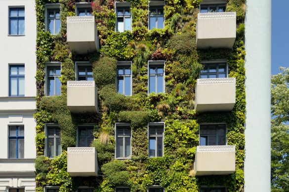 Arbusto: O Que É? +26 Espécies Para Incluir Nos Projetos de Paisagismo